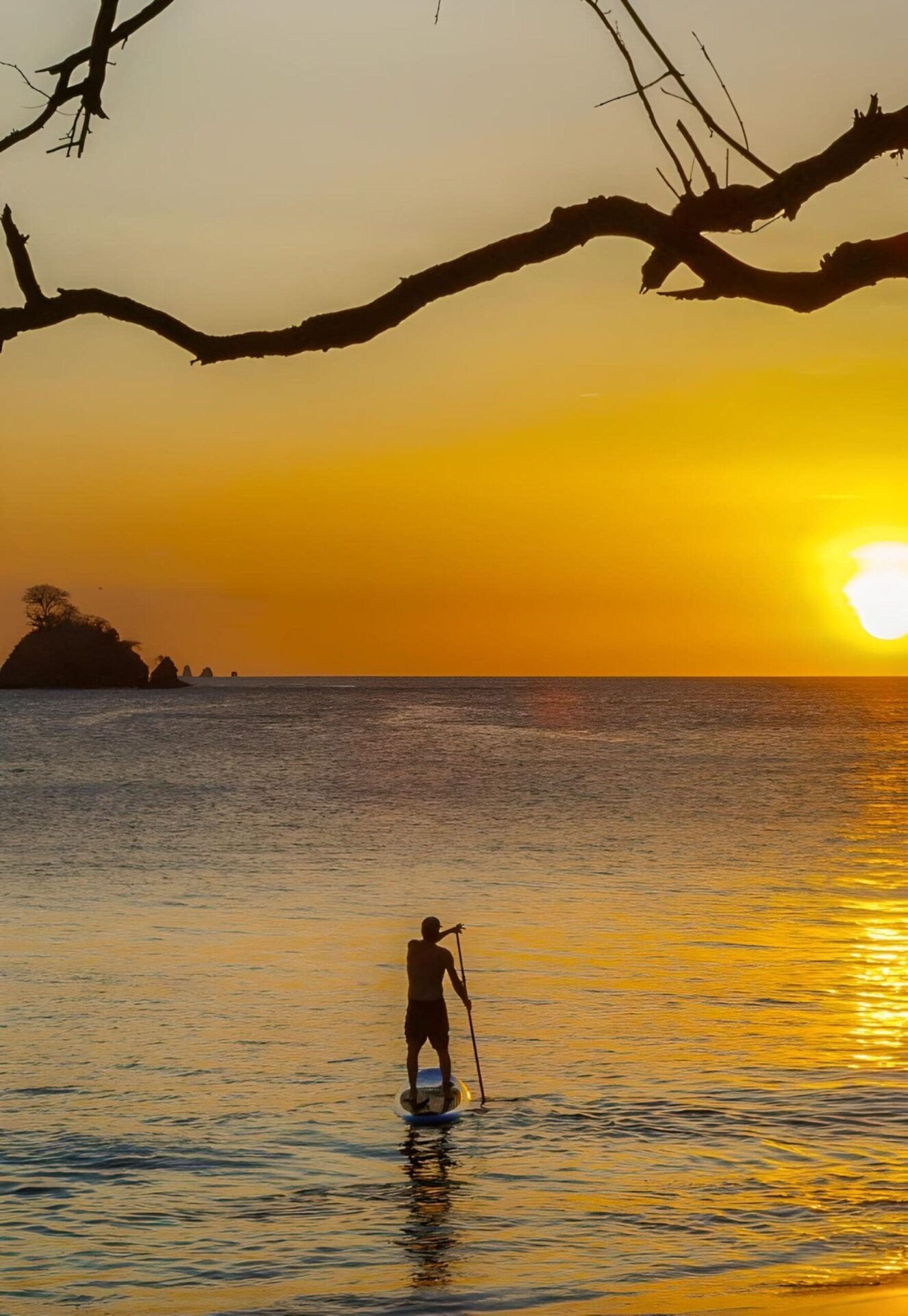 Casa Chameleon Residences #2, Located in Las Catalinas