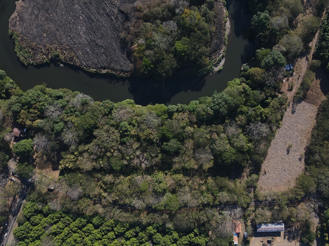 Bosque Tempisque - Flamingo Beach Realty Costa Rica