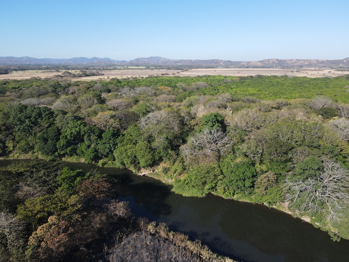 Bosque Tempisque - Flamingo Beach Realty Costa Rica