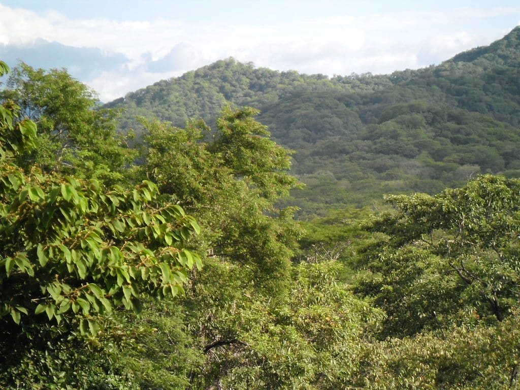 Black Stallion Hills - Flamingo Beach Realty Costa Rica